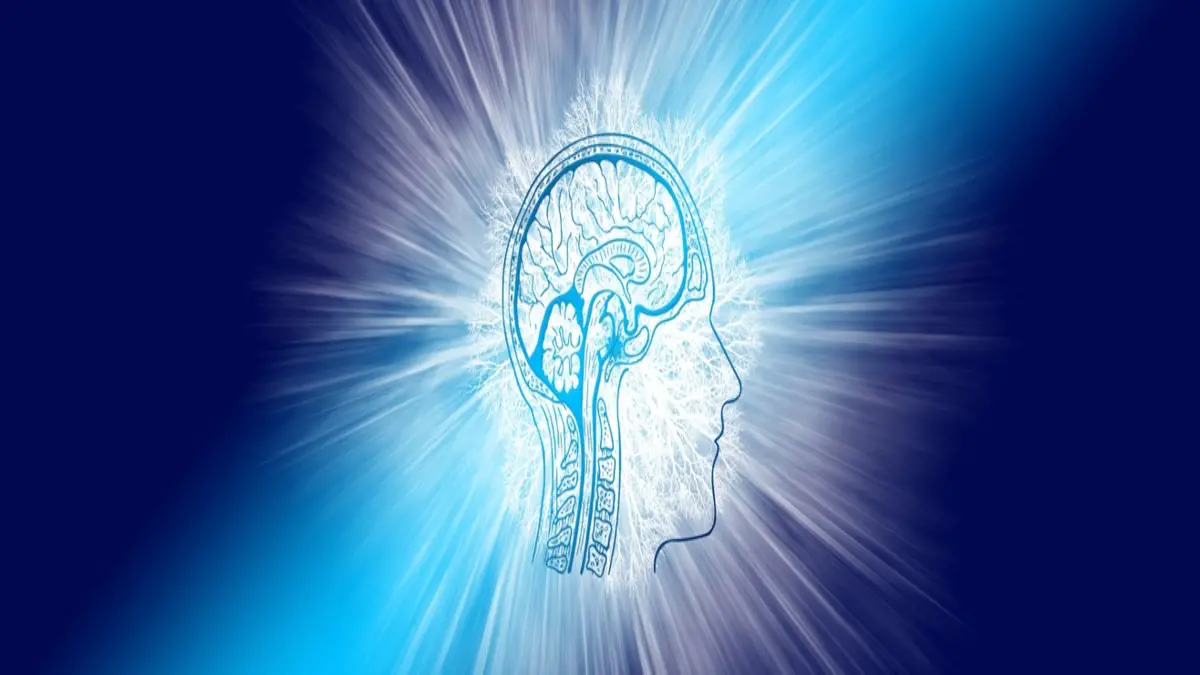 Intrapersonal Intelligence: What it is and How to Develop Yours