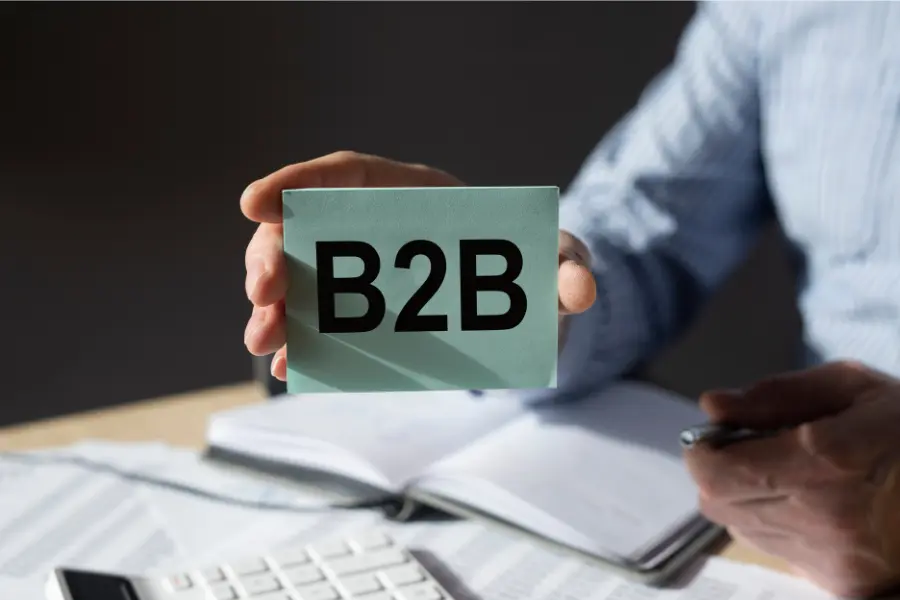 Guidelines for Success in B2B eCommerce: Growth and Strategy