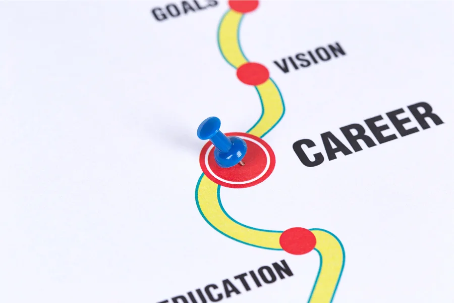 Career Mapping Guide: Pathways to Professional Growth